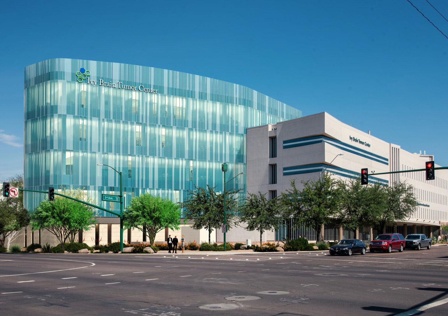 Home - Ivy Foundation